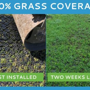 ROOT® - TRUEGRID Pavers