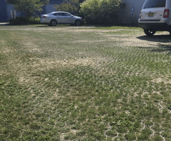 These Grasscrete Alternatives are Far Superior Paving Options ...