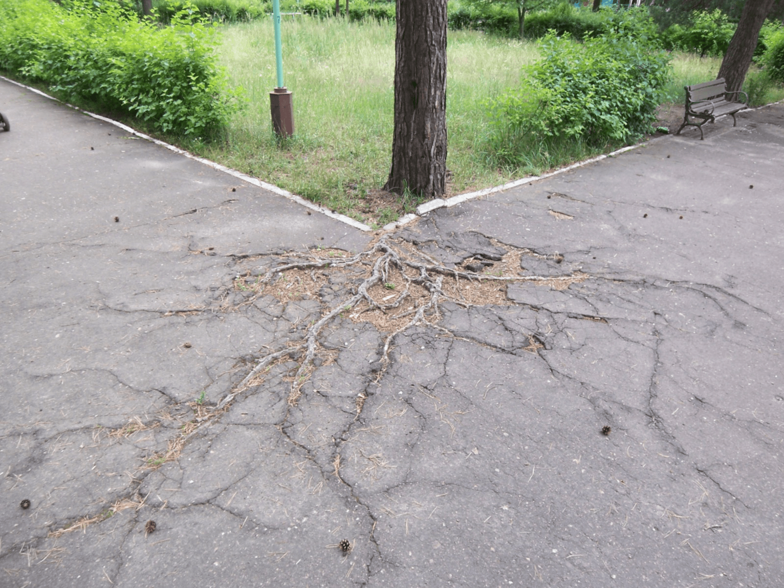 Asphalt Damage and Distress: 13 Types of Pavement Deterioration ...