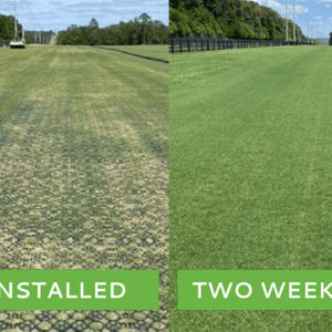 ROOT® - TRUEGRID Pavers