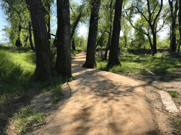 Muddy Path Solutions for Commercial Landscapes - TRUEGRID Pavers