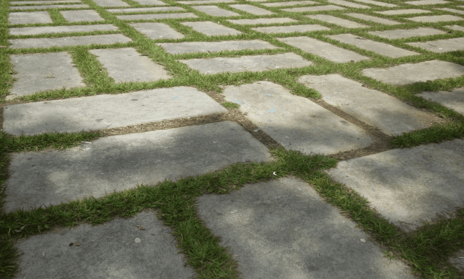 Building A Driveway With Grass Strips Tips Guide And Alternatives