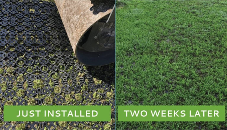 Permeable Pavers: A Buyers Guide to Permeable Pavement (2025)