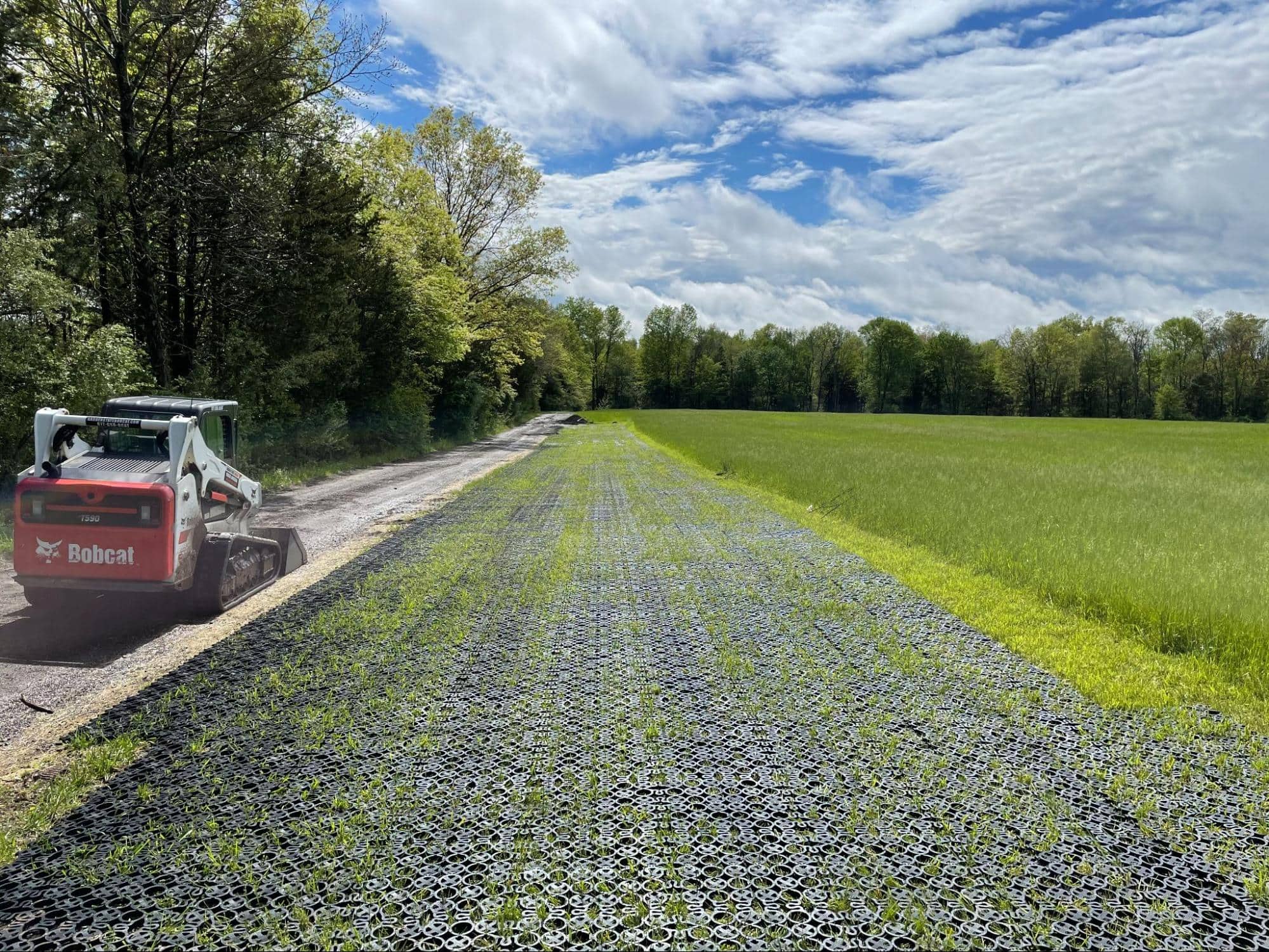 Grass Protection Mesh for Car Parking - TRUEGRID Pavers