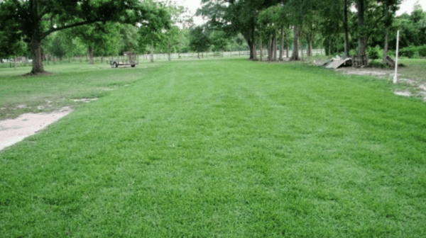 13 Community Center Design Ideas - TRUEGRID Pavers