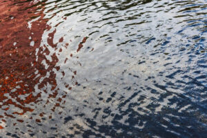 How to Reduce Impervious Surfaces: 6 Methods You Need to Try
