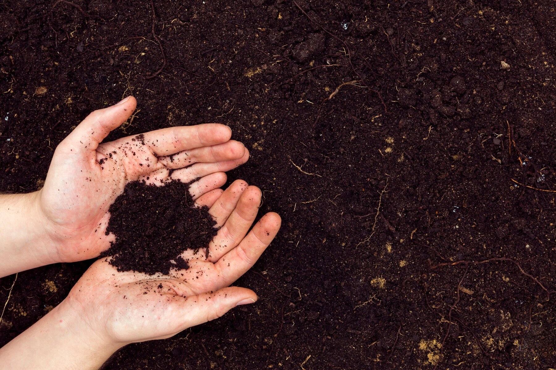 How to Reduce Impervious Surfaces: 6 Methods You Need to Try