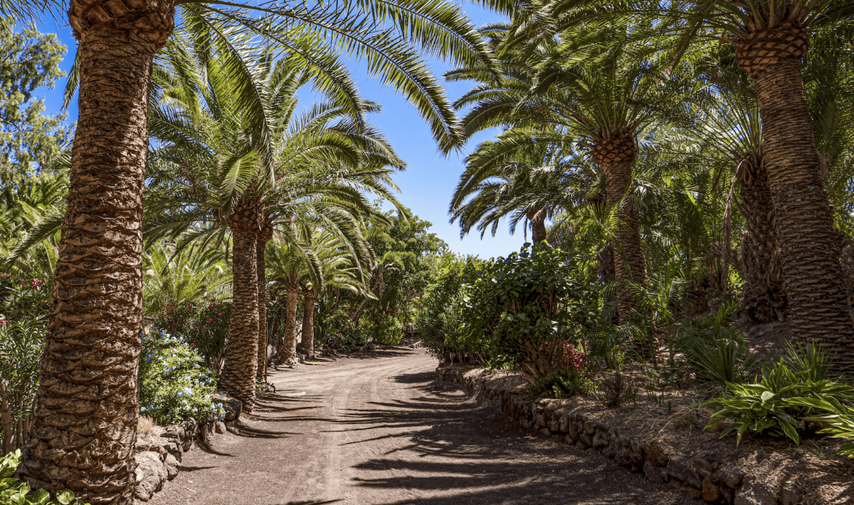 9 Coastal Driveway Design Ideas - TRUEGRID Pavers