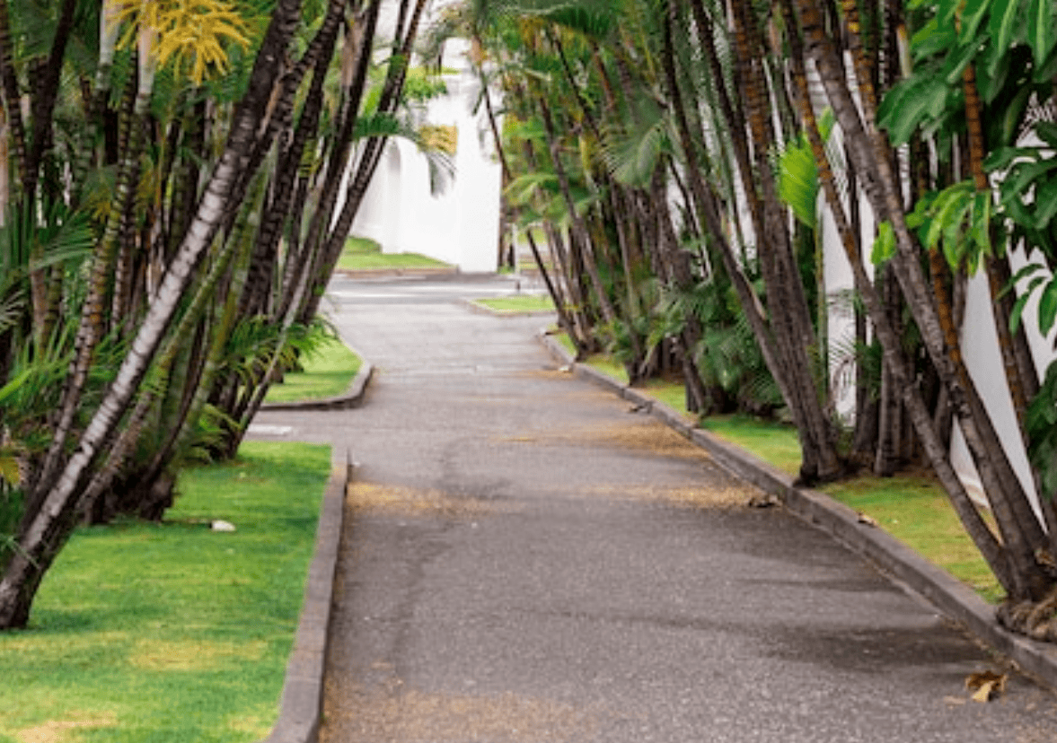 9 Coastal Driveway Design Ideas - TRUEGRID Pavers