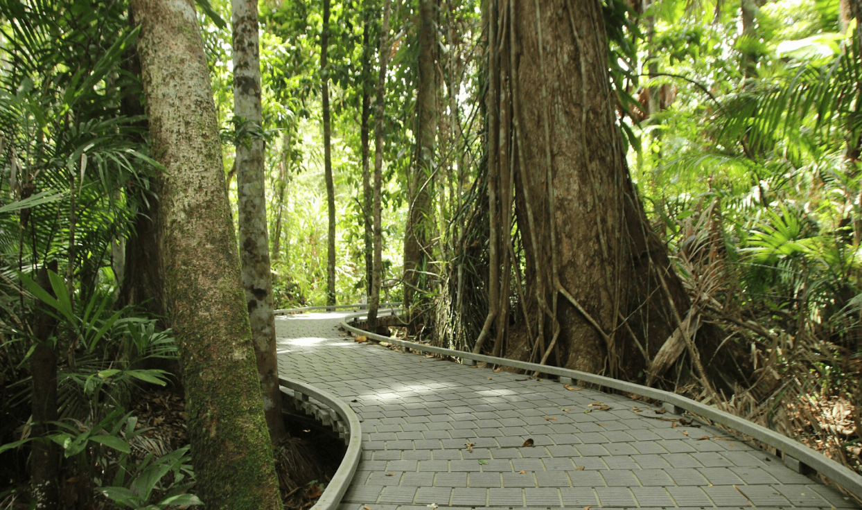 9 Coastal Driveway Design Ideas - TRUEGRID Pavers