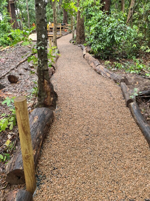 7 Driveway Walkway Ideas and Designs To Spark Creativity
