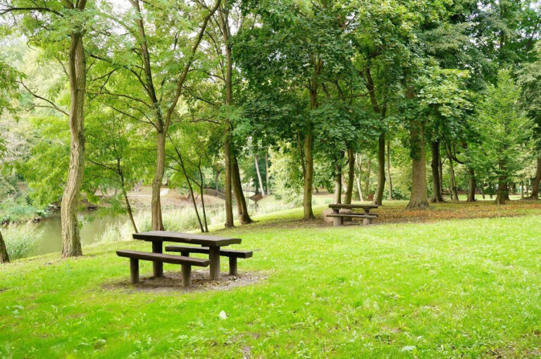 Eco-Park Design Ideas: 5 Sustainable Designs You Can Create