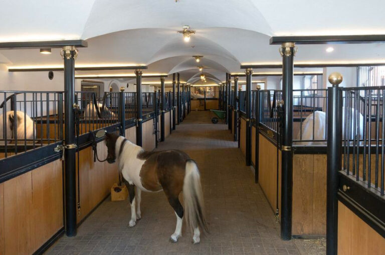 6 Horse Stable Design Ideas To Consider for more stable ground