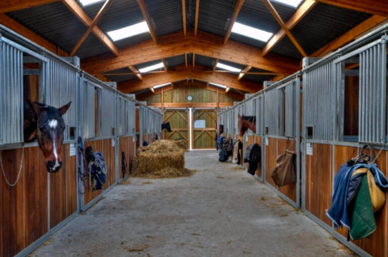 6 Horse Stable Design Ideas To Consider for more stable ground