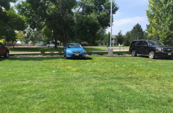 Urban Heat Island Effect: The Impact of Permeable Paving Solutions